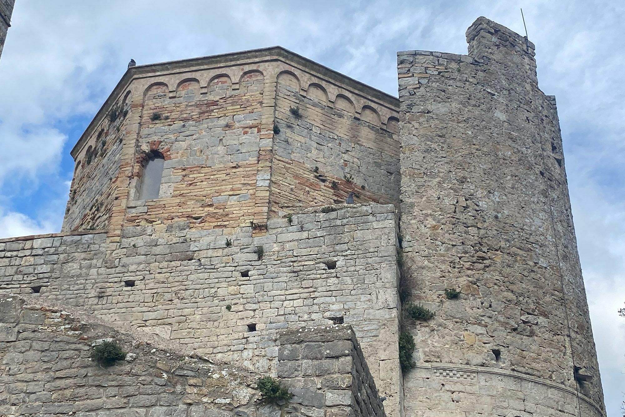 Abbazia di San Rabano e Torre dell'Uccellina, Parco della Maremma