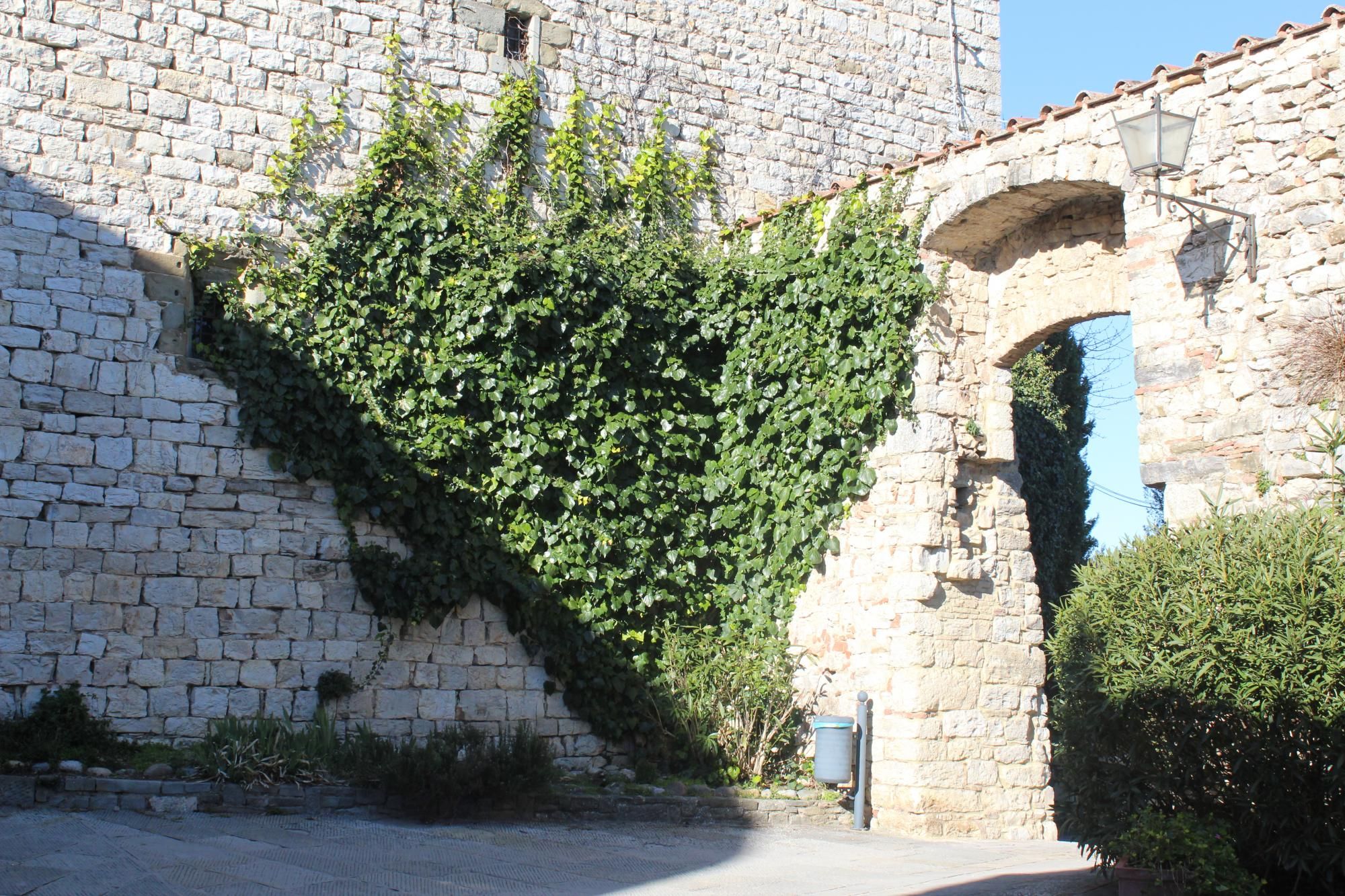 Castello di Vertine - Gaiole in Chianti - Siena